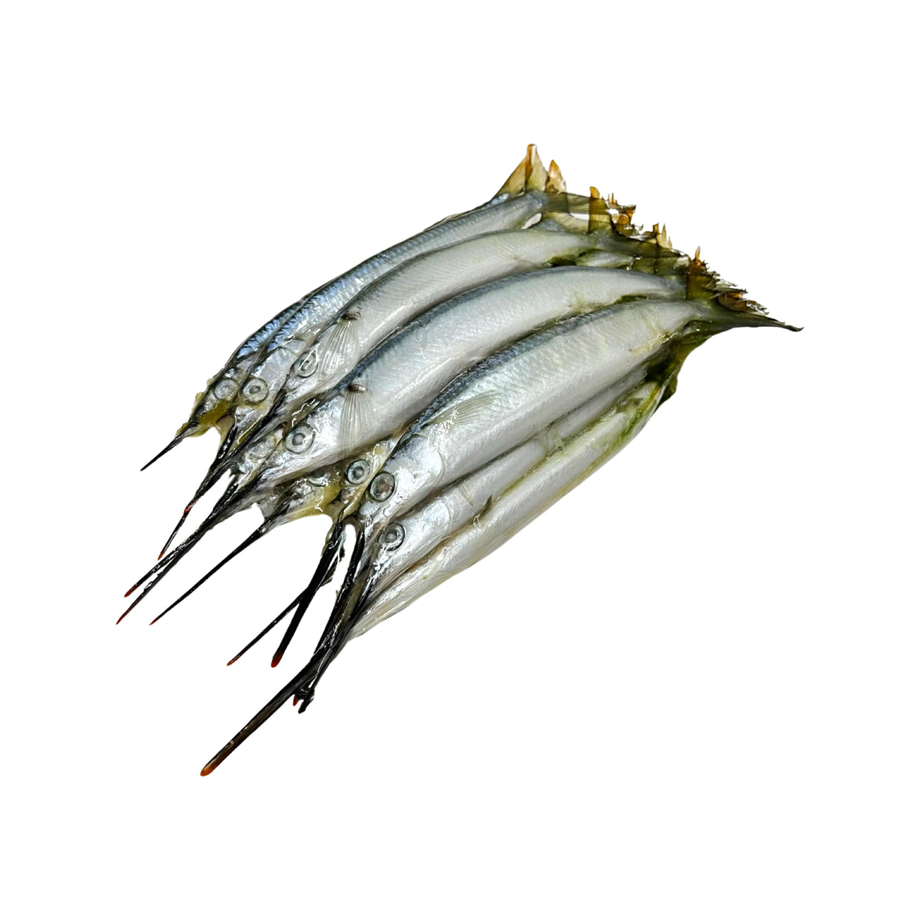 Ballyhoo Mediums 12 pk - Frozen 896610000017 – One Stop Marine