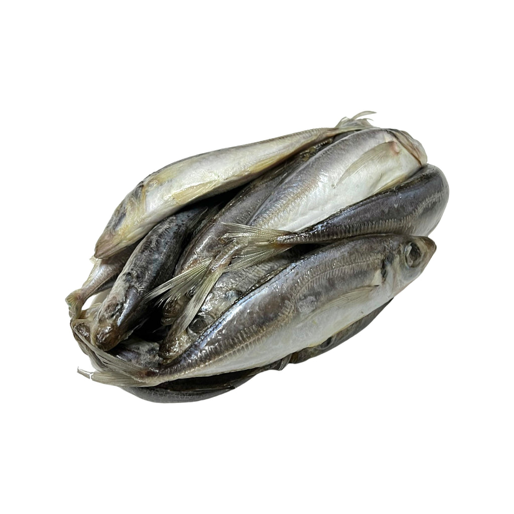 Goggle Eyes 5 lb - Frozen 018916100004-4094 – One Stop Marine