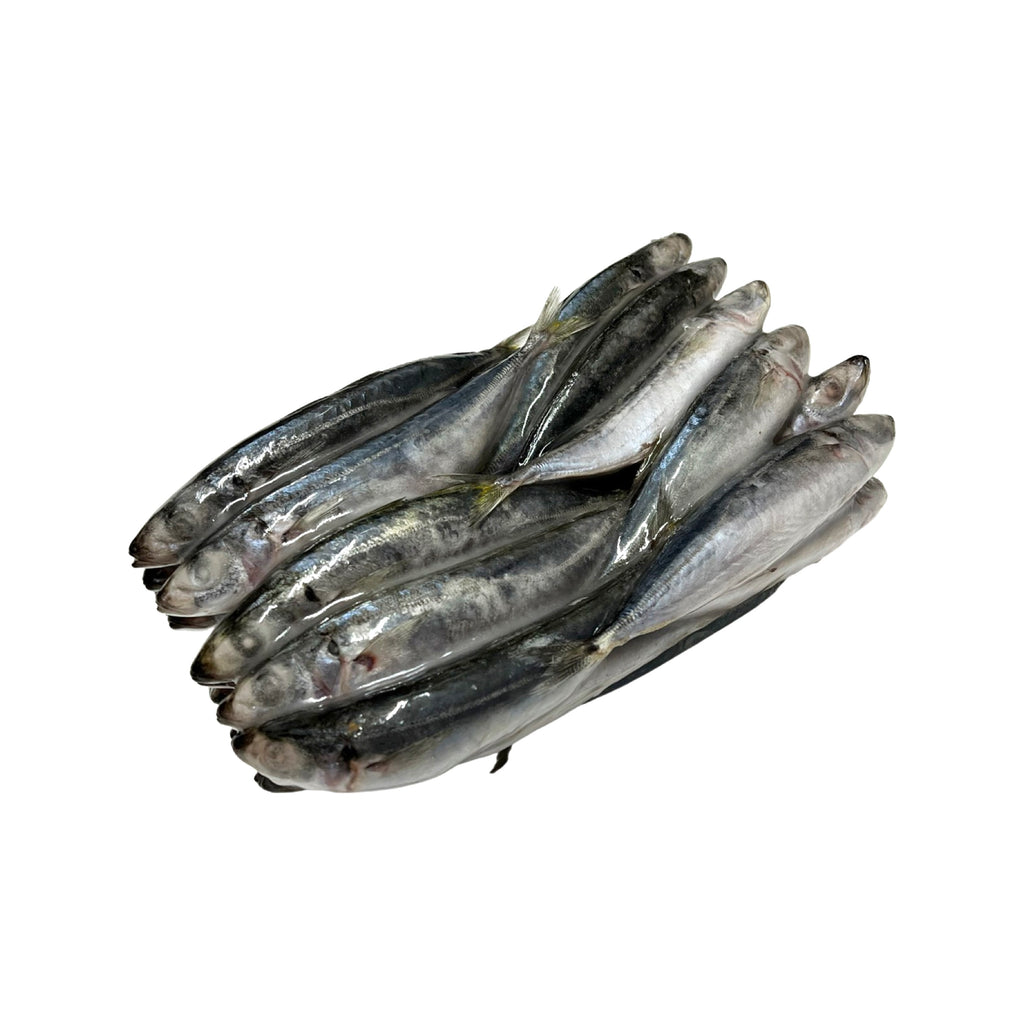 Cigar Minnow 5 lb - Frozen 85775003035 – One Stop Marine