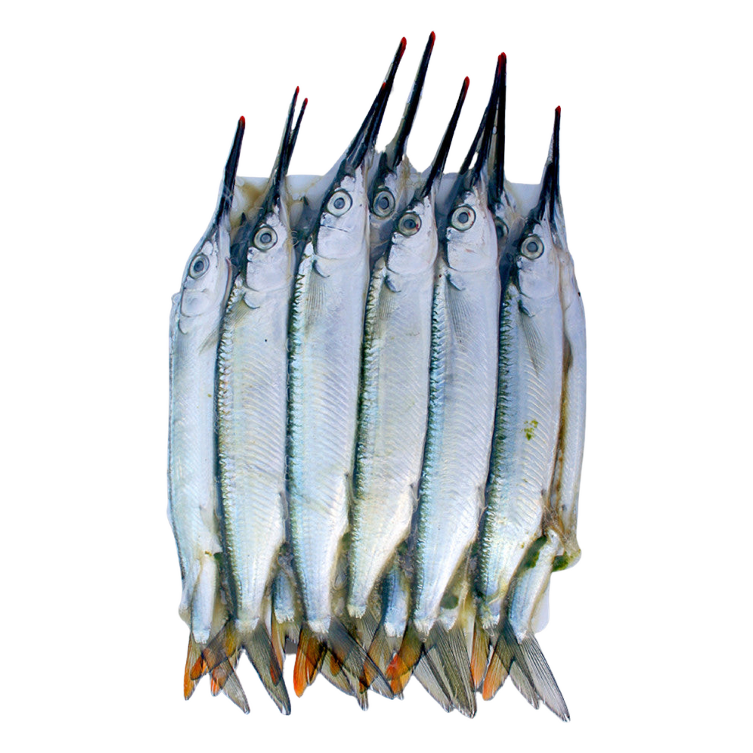 Ballyhoo Mediums 12 pk - Frozen 896610000017 – One Stop Marine