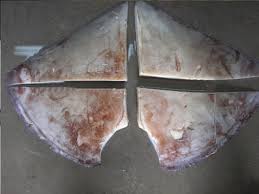 Squid Wing 2 lb - Frozen 59823148 – One Stop Marine