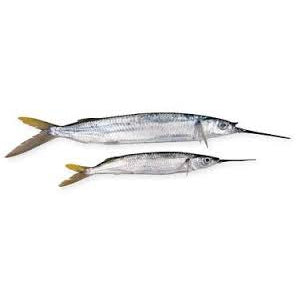 Ballyhoo Horse Unrigged - Frozen SBH1516